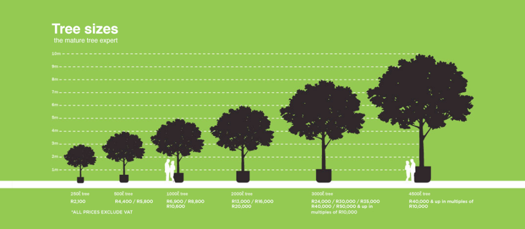 Tree-Sizes-Pricing-2018 - Revista Ferrepat